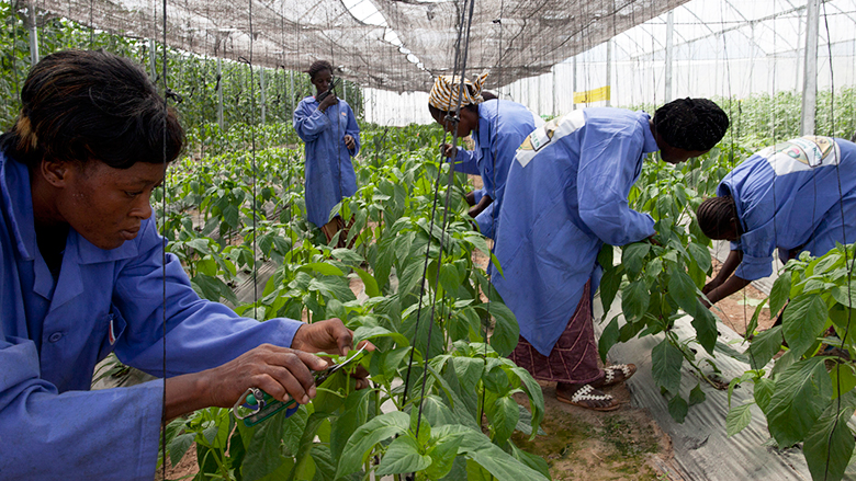 Agriculture et alimentation