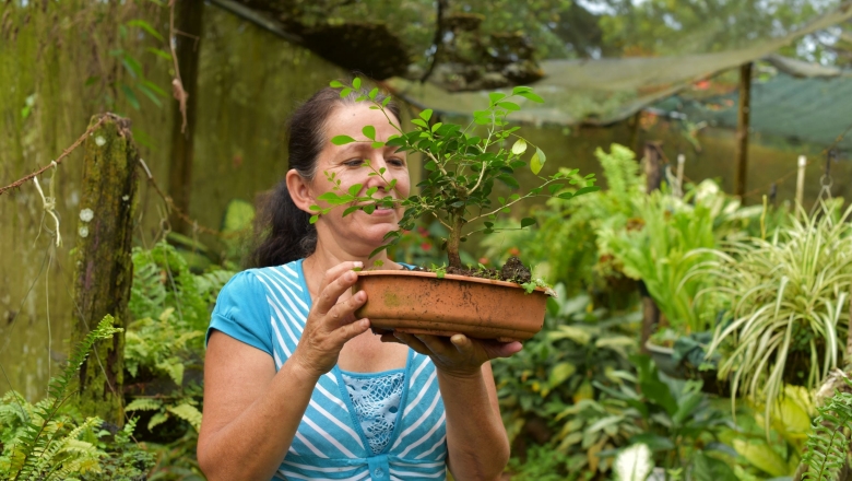La conservation des forêts au Costa Rica porte ses fruits
