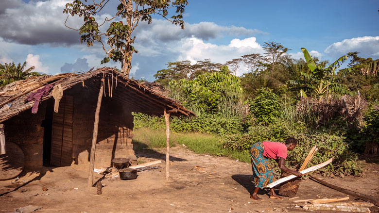 En République démocratique du Congo, des solutions à la dégradation des ...