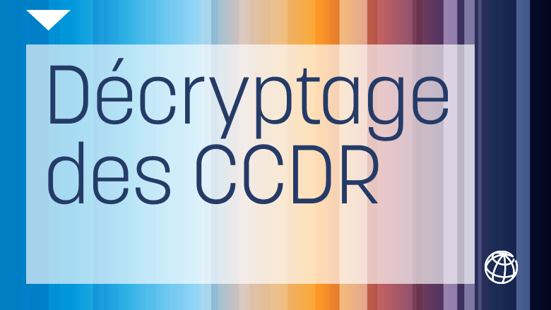 Décryptage des CCDR : Tout ce qu’il faut savoir sur les rapports ...