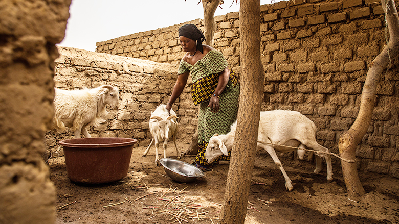 Note sur la situation économique du Mali 2023 : Renforcer la résilience ...